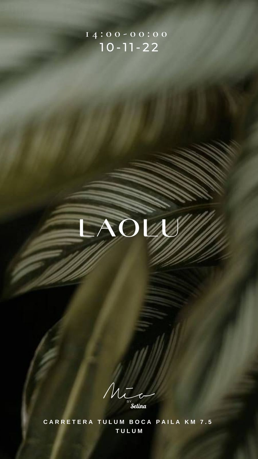 LAOLU @MIA TULUM Tickets | Tulum | Mía Restaurant & Beach Club - Ticket ...