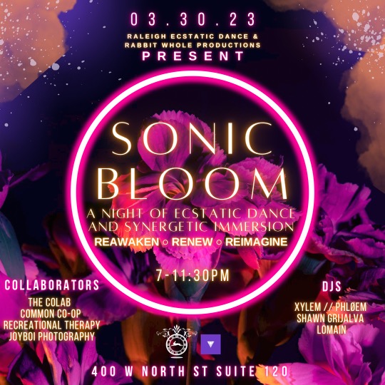 Sonic Bloom ~ A night of ecstatic dance and synergetic immersion's ...