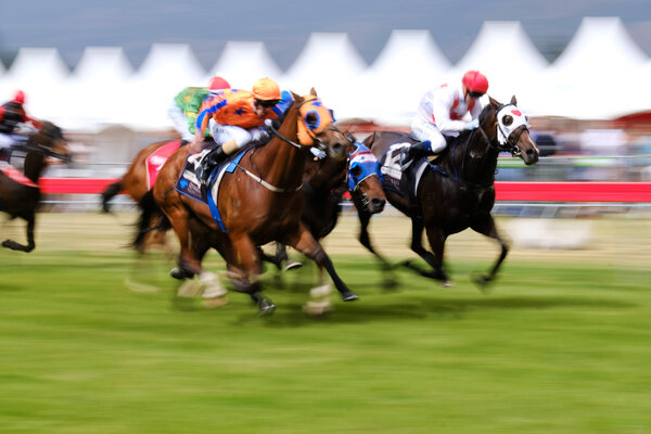 Cromwell Christmas at the Races Tickets | Cromwell | Cromwell ...