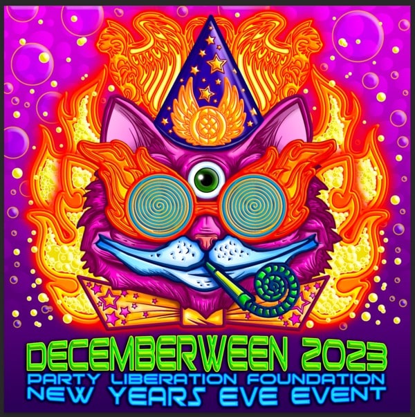 Top 2022 New Year’s Eve Festivals And Parties in the USA - TFword.